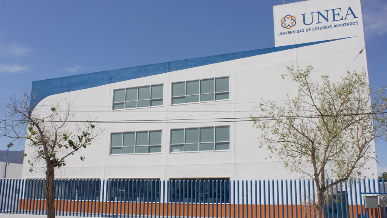 UNEA en línea | Estudia Licenciatura en Ciencias de la Educación virtual